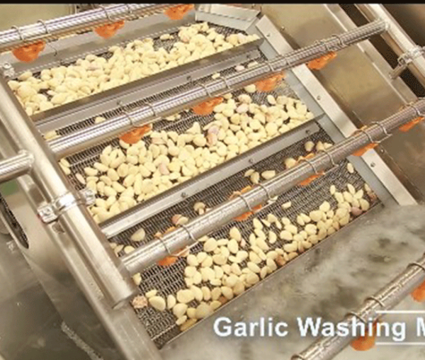 Automatic Garlic Paste Sauce Processing Production Line Plant