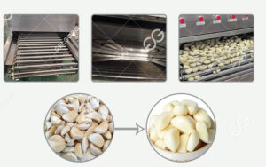 Dry Garlic Skin Removing Machine High Peeling Rate