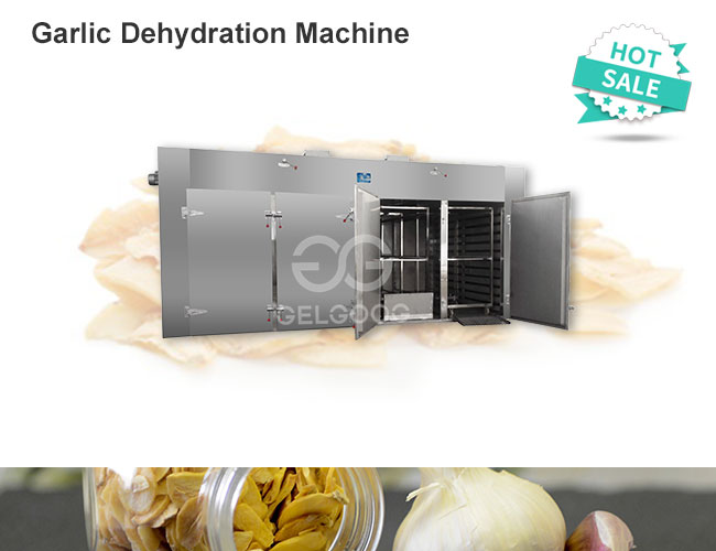 Garlic Processing Machine Equipment Companies