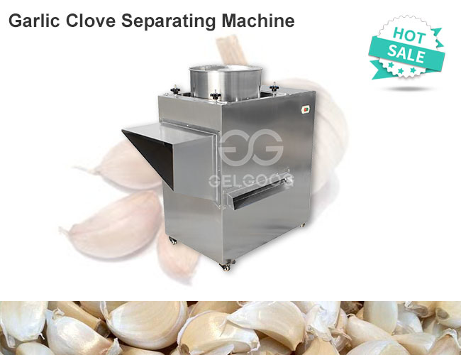 Garlic Processing Machine Equipment Companies
