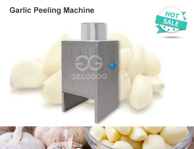 Garlic Processing Machine Equipment Companies