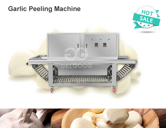 Garlic Processing Machine Equipment Companies