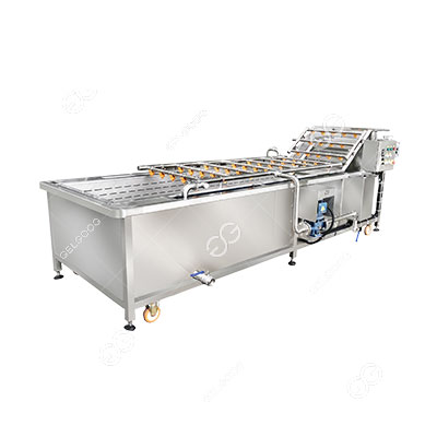 Garlic Powder Processing Plant Machinery Cost